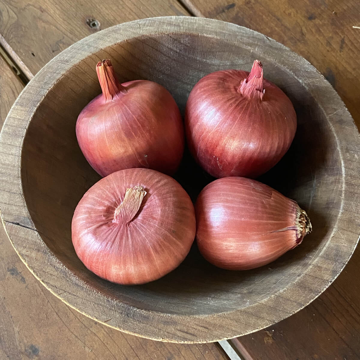 Onion: Rossa di Milano (100 or 250 seeds) | The Buffalo Seed Company