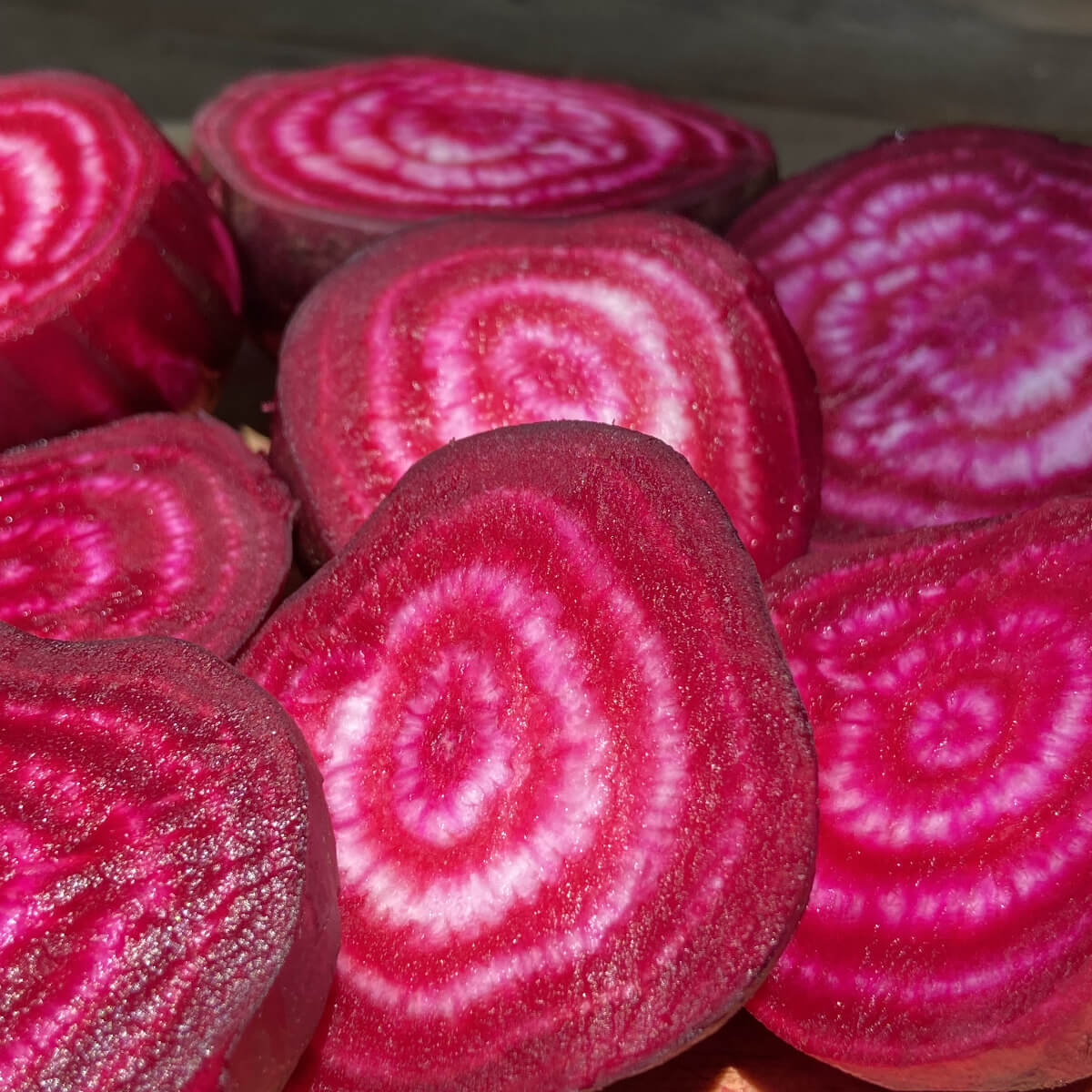 Beet: Early Blood Turnip (50 or 100 seeds) | The Buffalo Seed Company
