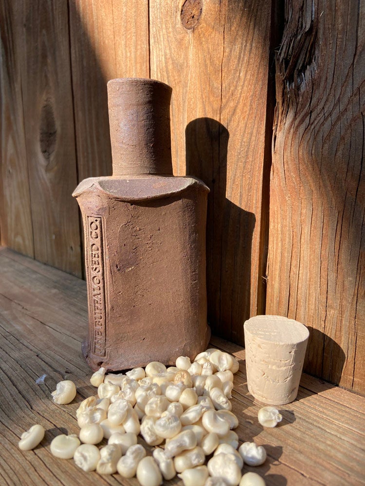 A Seed Vessel by Mike Crouch: Cherokee White Flour Maize (100 seeds ...