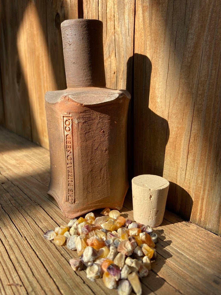 A Seed Vessel by Mike Crouch: Astronomy Sweet Maize (100 seeds) | The ...