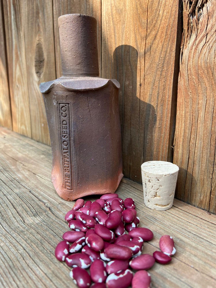 A Seed Vessel by Mike Crouch: New Mexico Dry Bean (50 seeds) | The ...