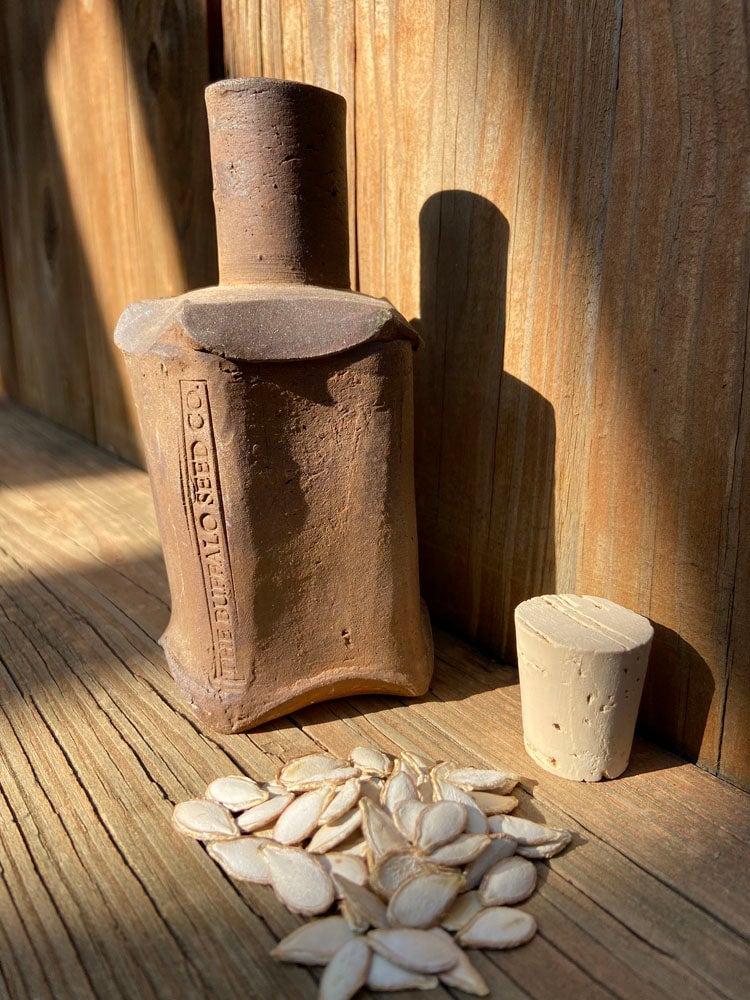 A Seed Vessel by Mike Crouch: America Winter Squash (60 seeds) | The ...