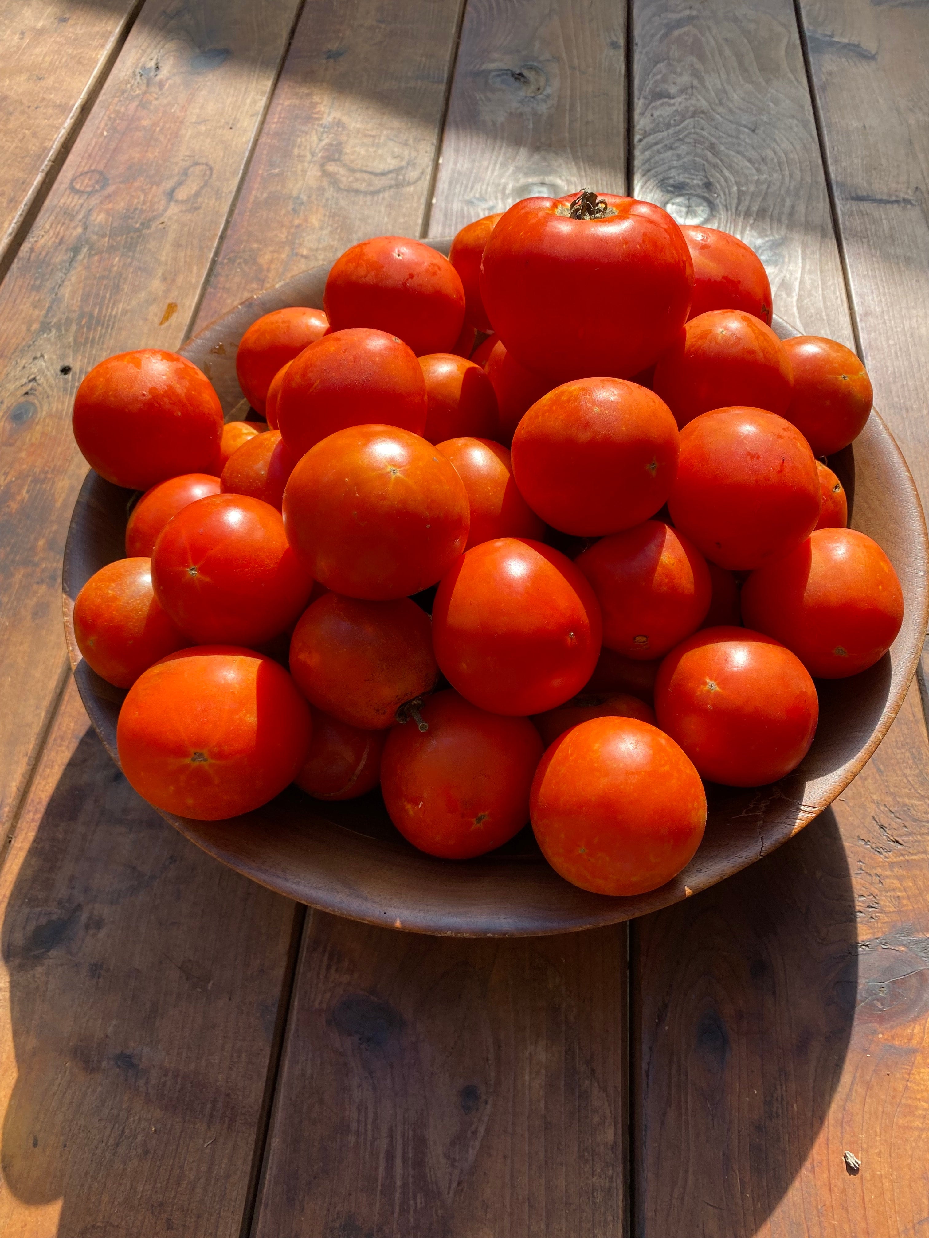 Tomato (Slicer): Wood's Famous Brimmer Tomato (20 or 100 seeds) | The ...