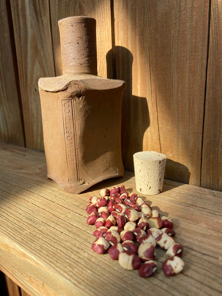 A Seed Vessel by Mike Crouch: Hog Brain Cowpea (50 seeds) | The Buffalo ...