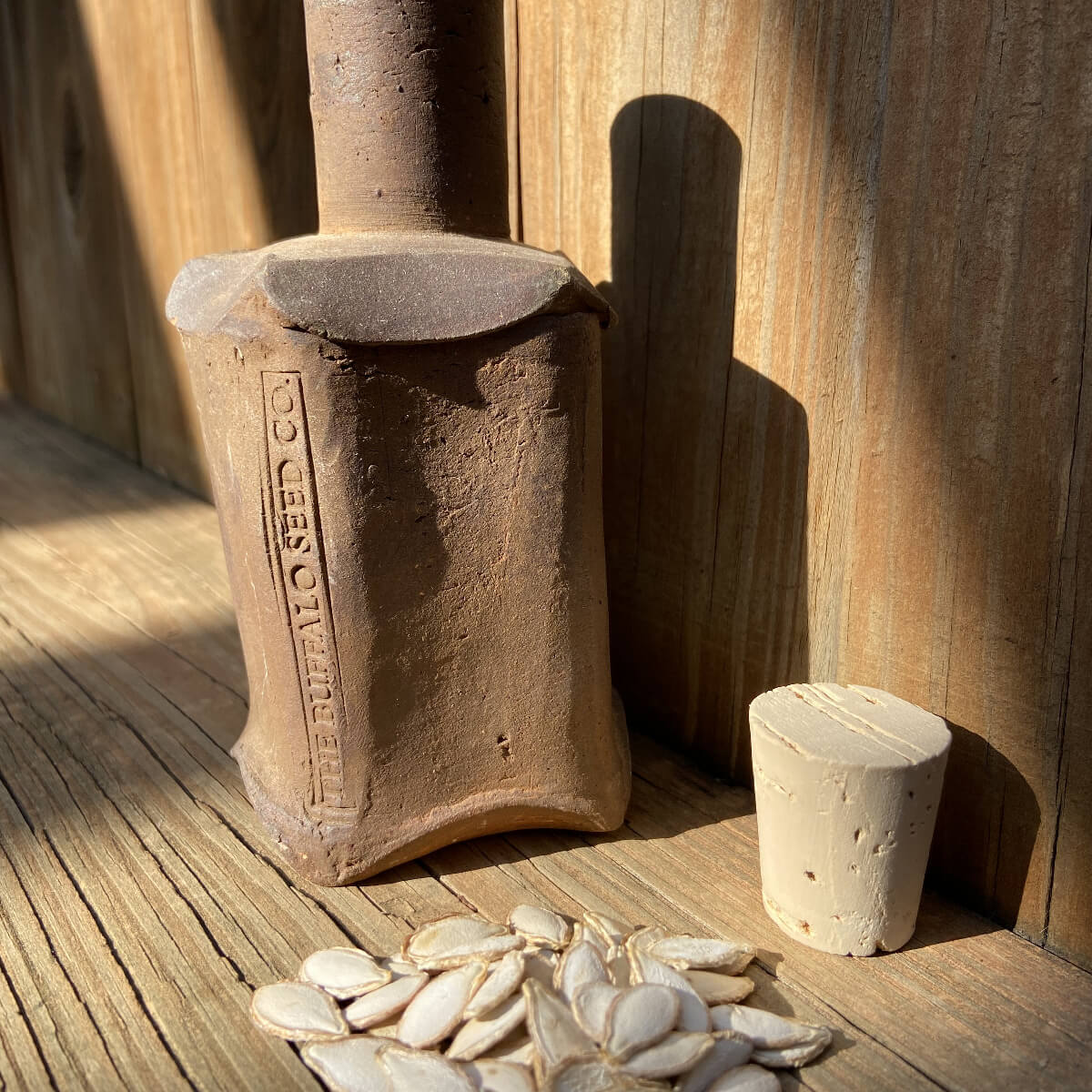 A Seed Vessel by Mike Crouch: America Winter Squash (60 seeds)