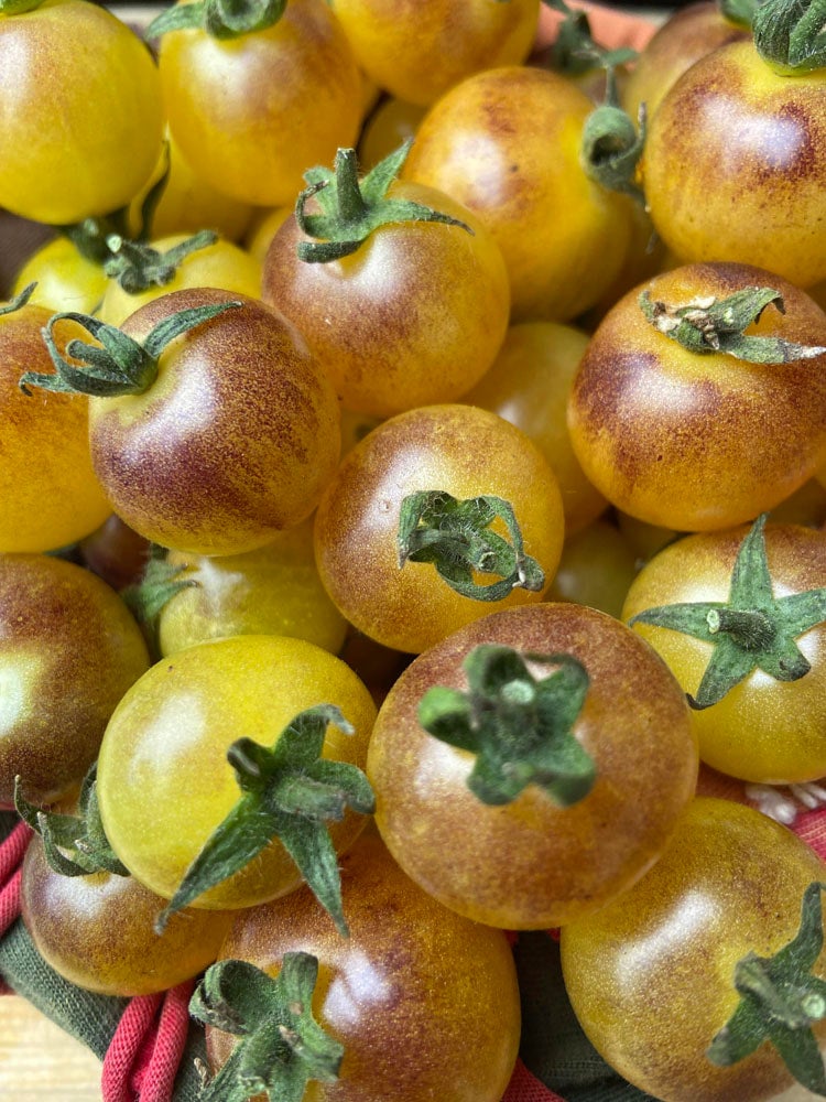 A Garden Set II: Ten Variety (710 seeds) | The Buffalo Seed Company