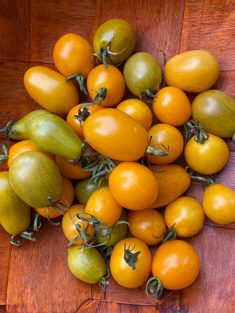 Tomato (Grape): Dancing Lady (25 seeds) | The Buffalo Seed Company