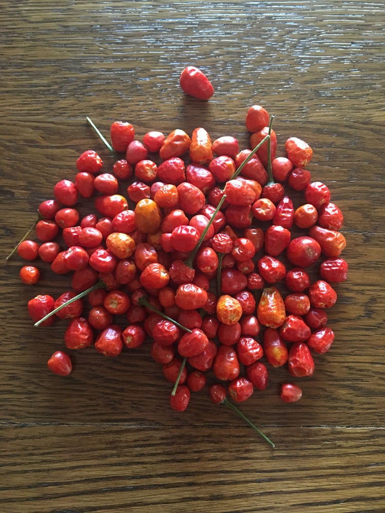 Pepper (Hot): Little Red Chiltepin (25 seeds) | The Buffalo Seed Company