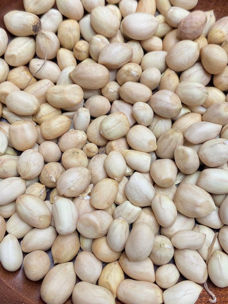 Peanut: Uruguayan Landrace (25 seeds) | The Buffalo Seed Company