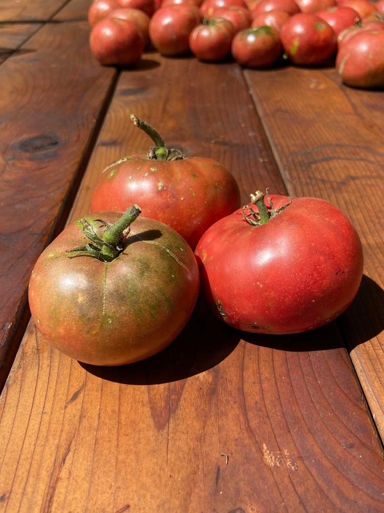 Tomato (Slicer): Dwarf (25 seeds) | The Buffalo Seed Company