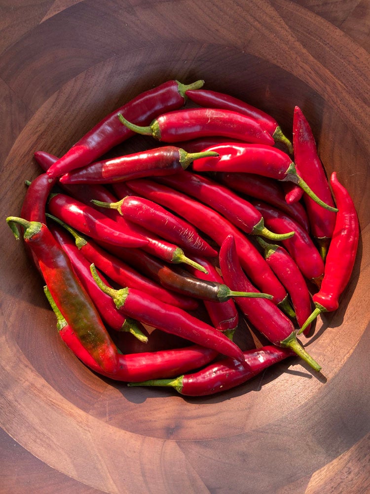 A Garden Set II: Ten Variety (710 seeds) | The Buffalo Seed Company