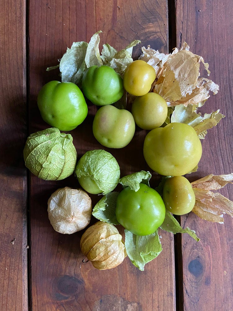 Seed Sets | The Buffalo Seed Company