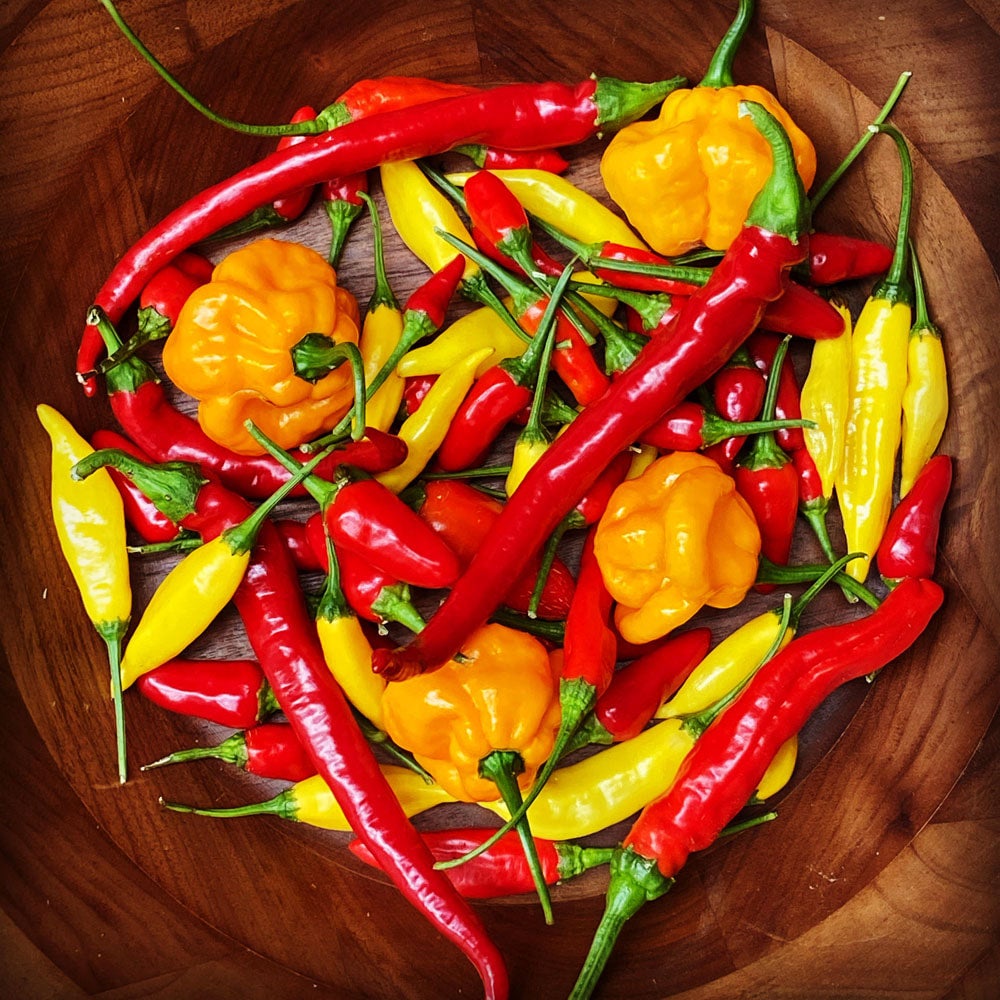 A Garden Set IV: Twenty Variety (1170 seeds) | The Buffalo Seed Company