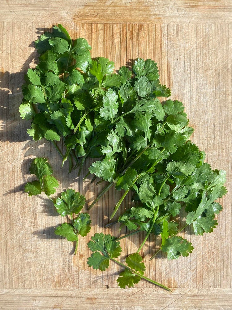 A Garden Herb Set: Five Variety (650 seeds)