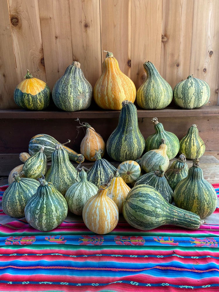 Seed Sets | The Buffalo Seed Company