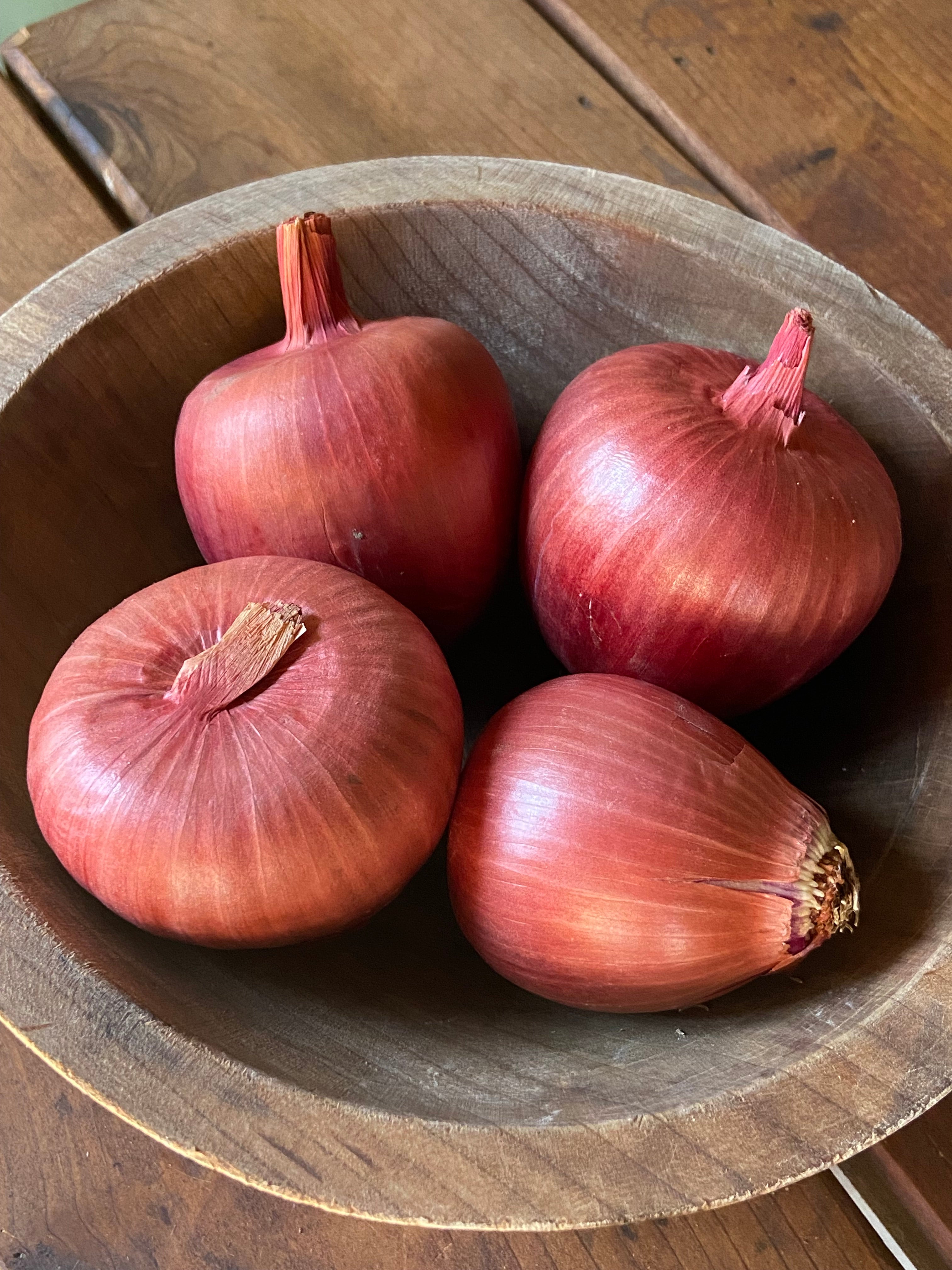 Onion Rossa Di Milano 100 Or 250 Seeds The Buffalo Seed Company Onion Rossa Di Milano 100 Or 250 Seeds The Buffalo Seed Company