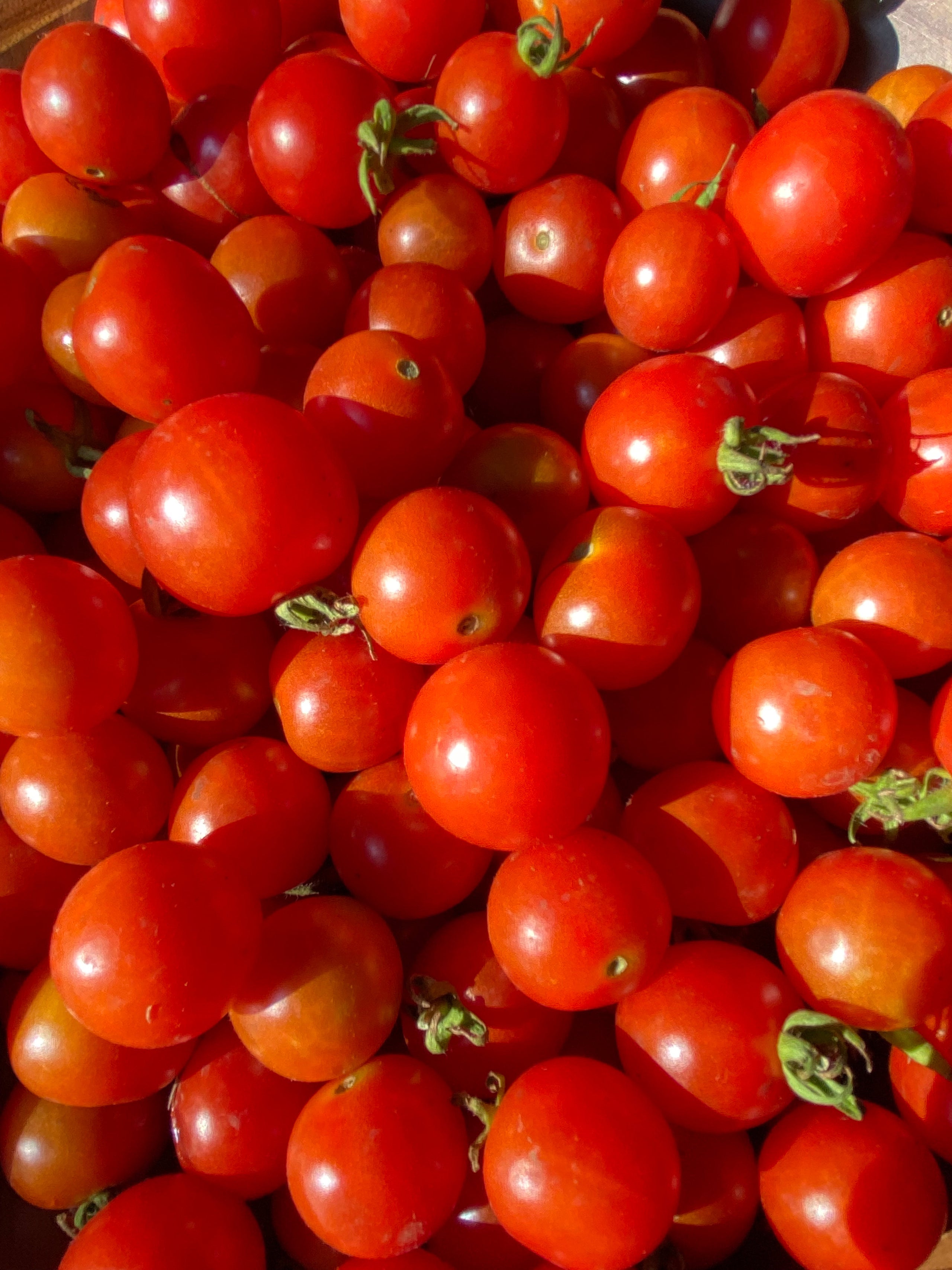 Tomato (Cherry): Turkish Cherry (25, 100, or 250 seeds) | The Buffalo ...