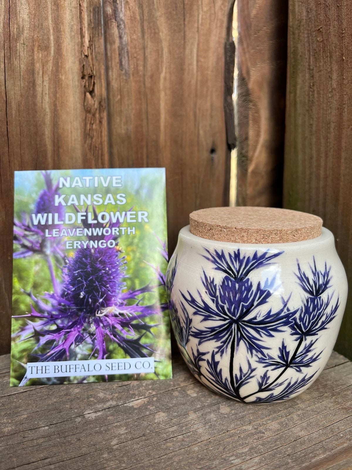 A Seed Vessel by Maeve Hilgers: Native Kansas WIldflower Leavenworth ...