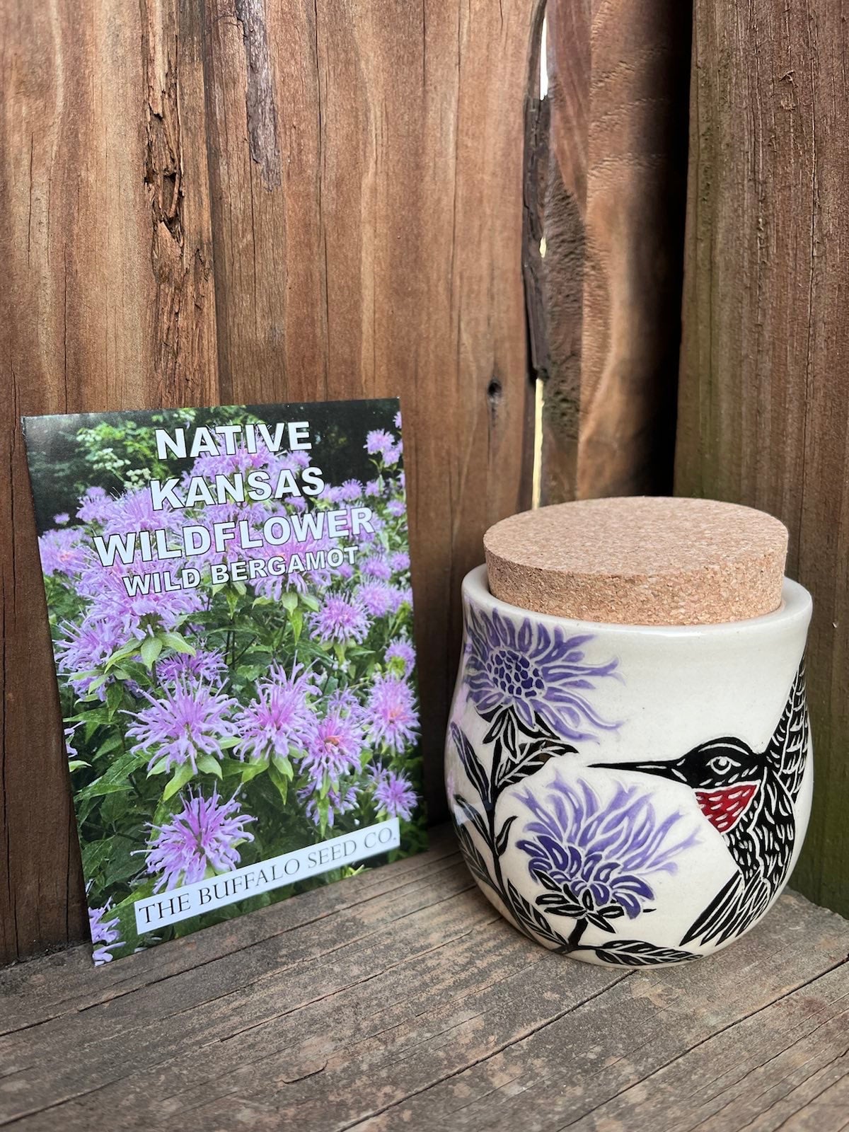 A Seed Vessel by Maeve Hilgers: Native Kansas WIldflower Wild Bergamot ...
