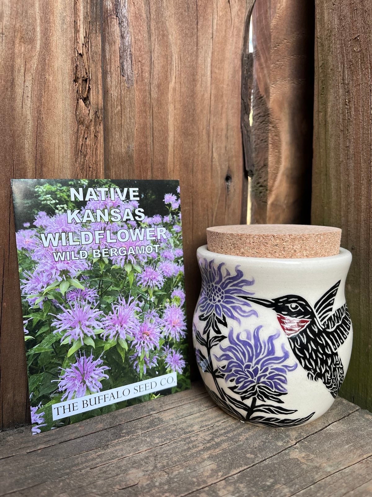 A Seed Vessel by Maeve Hilgers: Native Kansas WIldflower Wild Bergamot ...